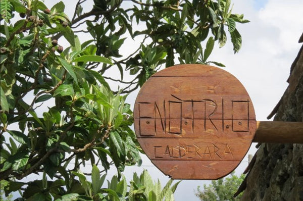 Nunzio Puglisi, Enotrio (Etna) - ultravino